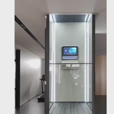 China Elegant Glass Home Elevator | 400kg Automatic Screw-Driven Home Lift for sale