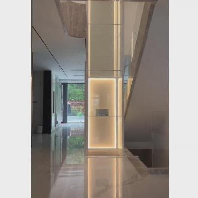 China Luxury Screw-Driven Elevator for Homes & Goods | High-Capacity & Customizable for sale