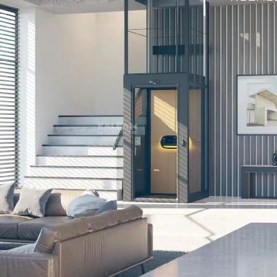 China Compact 500 kg Screw-Driven Home Elevator for Indoor Installations for sale