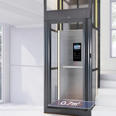 China Accessible Screw-Drive Elevator – Quiet, Safe, Customizable for sale
