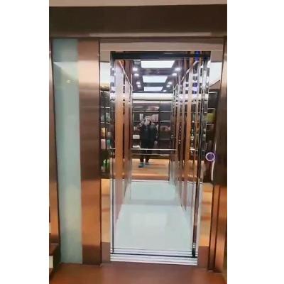 China Stainless Steel Traction Home Elevator | Smooth & Quiet Ride for sale