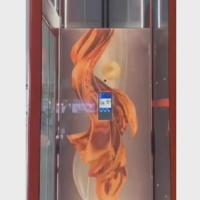 China Stainless Steel Home Elevator | 400kg Small Residential Lift for sale