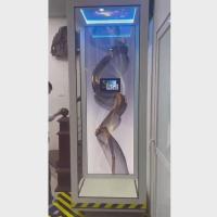 China Versatile Hydraulic Residential Lift | 500-1000kg Capacity for sale