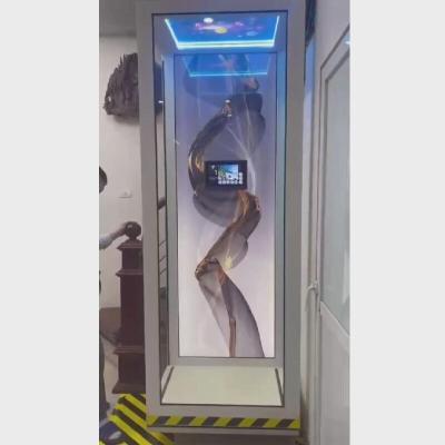 China Versatile Hydraulic Residential Lift | 500-1000kg Capacity for sale