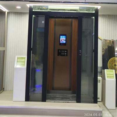 China Luxury Gearless Home Elevator | Versatile 500-1000kg Capacity for sale