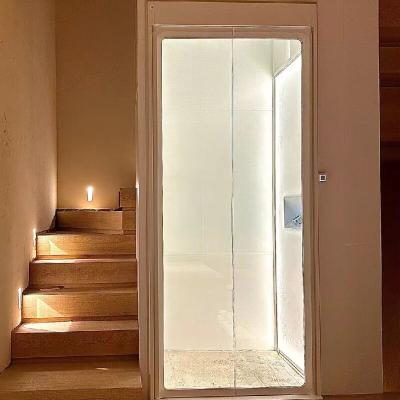 China Silent Gearless Home Elevator – 400 kg to 1000 kg Capacity for sale