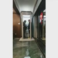 China Stylish Home Capsule Elevator | 500-1000kg Capacity for sale