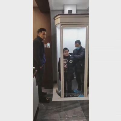 China Customizable 2-Floor Home Capsule Elevator for sale