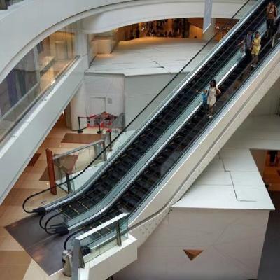 China Commercial Moving Walkway Escalator – 800 / 1000 / 1200 mm Step Width for sale