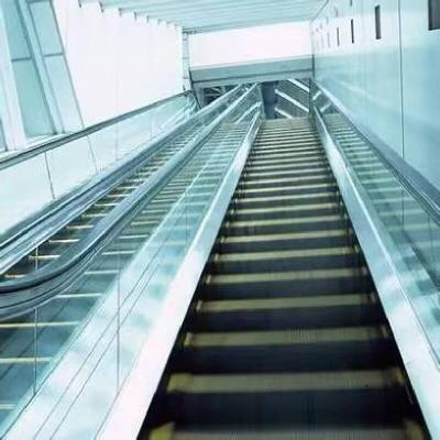 China Energy-Efficient Commercial Escalator – 1000 mm Step Width for sale