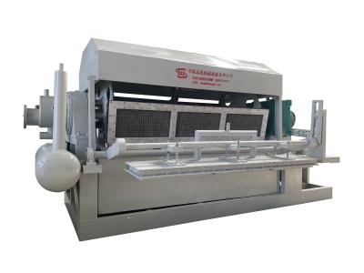 China PLC Controlled Fully Automatic Egg Tray Machine 4x8 5000pcs/h 120kw for sale