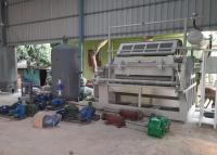 China 6000pcs Fully Automatic Egg Tray Manufacturing Plant Waste Paper Recycle for sale