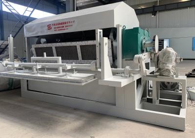 China Waste Paper 6by8 Fully Automatic Egg Tray Machine 8000 Pieces Per Hour for sale
