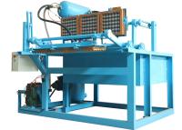 China Waste Paper Pulp Molding Egg Tray Manufacturing Plant Computer Control for sale