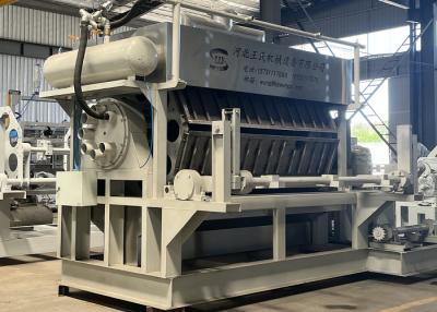 China 5000pcs Finished Paper Egg Tray Machine 4 By 8 Forming for sale