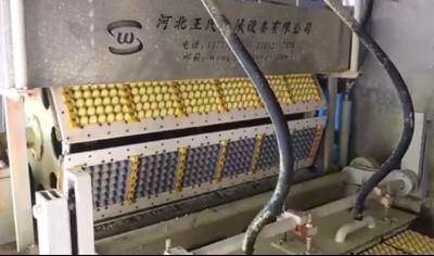 China 8 Molds By 6 Sides Pulp Egg Tray Machine 7000 Pcs/Hr High Automation for sale