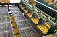 China Paper 7000pcs/Hr Fully Automatic Egg Tray Machine Carbon Steel for sale