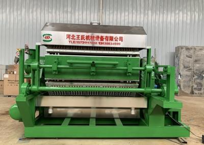 China Waste Paper Rotary Egg Tray Machine 6000 Pcs/H 126kw 5x8 Molds for sale