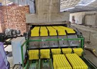 China 6000p/H Egg Tray Manufacturing Machine 380V 3600*2250*2500 Mm for sale