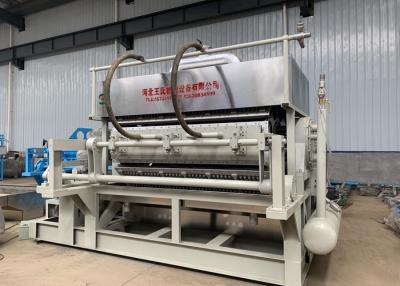 China Rotary Egg Tray Machine 7000 pcs/hr 48 Pcs Mold 6 Layer Dryer for sale