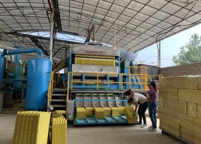 China ABS Mold Fruit Tray Making Machine 6x8 Rotary Egg Crate Making Machine 48 Molds for sale