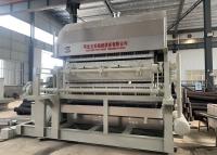 China Aluminum WS-7500 1pcs Pulp Paper Egg Tray Machine7500p/H for sale