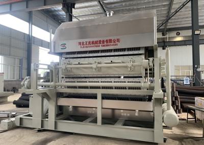 China Aluminum WS-7500 1pcs Pulp Paper Egg Tray Machine7500p/H for sale
