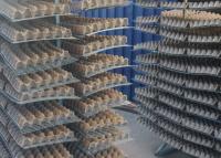 China Semi-Automatic 10 Holes Egg Carton Making Machine 28KW 800 Pcs per Hour for sale