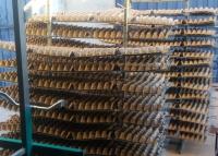 China 1.23m*0.4m Mold Semi Automatic Egg Tray Machine 20m*20m Space 28kw for sale