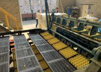 China Waste Paper Rotary Egg Tray Machine 6000 Pcs/H 126kw 5x8 Molds for sale