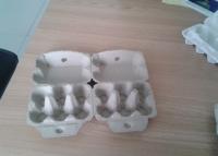 China Waste Paper 5pcs/Time Fully Automatic Egg Tray Machine Rotary 6000 Pcs/H for sale