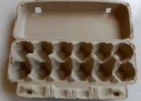 China Waste Paper 5pcs/Time Fully Automatic Egg Tray Machine Rotary 6000 Pcs/H for sale