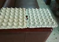China Low Energy Consume Egg Tray Machine 3 By 4 Forming Plastic Mold for sale