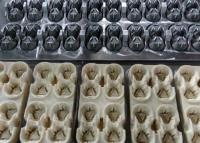 China Aluminum Coffee Holder Carrier Mold WS-30 Silvery White for Pulp Molding Machine for sale