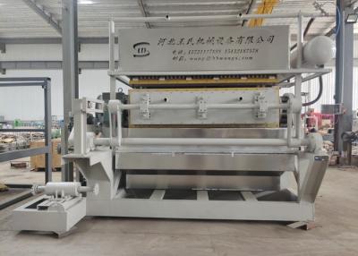 China 4x8 Face Egg Tray Machine 30 Cavity Egg Carton Maker 5000p/h for sale