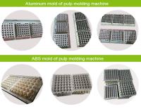 China LKM ASA 30 Egg Plastic Tray 9 Inspection Pulp Mold Cold Runner for sale