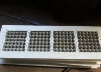 China Europe Recycling Waste Paper Egg Tray Forming Mold Machine 12 Holes Aluminum for sale