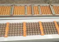 China Europe Recycling Waste Paper Egg Tray Forming Mold Machine 12 Holes Aluminum for sale