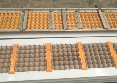 China Europe Recycling Waste Paper Egg Tray Forming Mold Machine 12 Holes Aluminum for sale