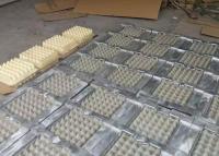 China 30 Eggs P20 Horizontal Pulp Mold for Egg Tray Making Machine 1M Shots for sale