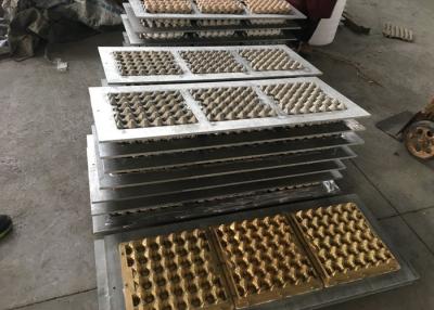 China HASCO Pulp Injection Molding 30 Eggs Cold Runner Plastic Egg Tray Mold for sale