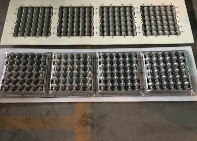 China 30 Eggs P20 Horizontal Pulp Mold for Egg Tray Making Machine 1M Shots for sale