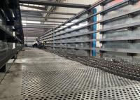 China 6000 Pcs / Hour 5 By 8 Rotary Paper Pulp Molding Machine 110kw for sale