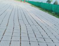 China WS-S Egg Tray Dryer Machine 3 Hours 35M Drying Under Sun for sale