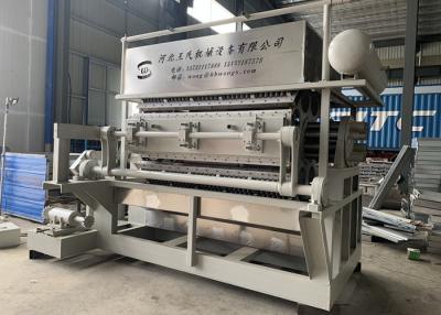 China WS-8000 Paper Egg Tray Machine 8000 Pcs/Hr Fully Automatic Pulp Molding for sale