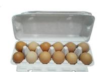 China 3200*2000*2300mm 380v Egg Tray Machine Rotary Full Auto Multi Layer for sale