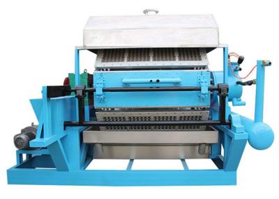 China Recycled Waste 6500pcs Paper Egg Tray Machine Pulp Moulding for sale