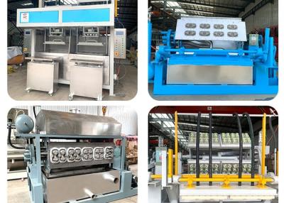 China 4-4 Paper Egg Tray Machine Dry Under Sun 3000pcs/Hr for sale