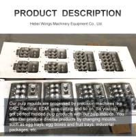 China Recycle Waste Ce Pulp Egg Tray Making Machine 6 Mould In Row for sale