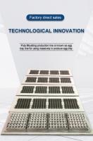 China 4000 Pcs/Hr Egg Tray Manufacturing Machine with Brick or Metal Dryer 120kw for sale